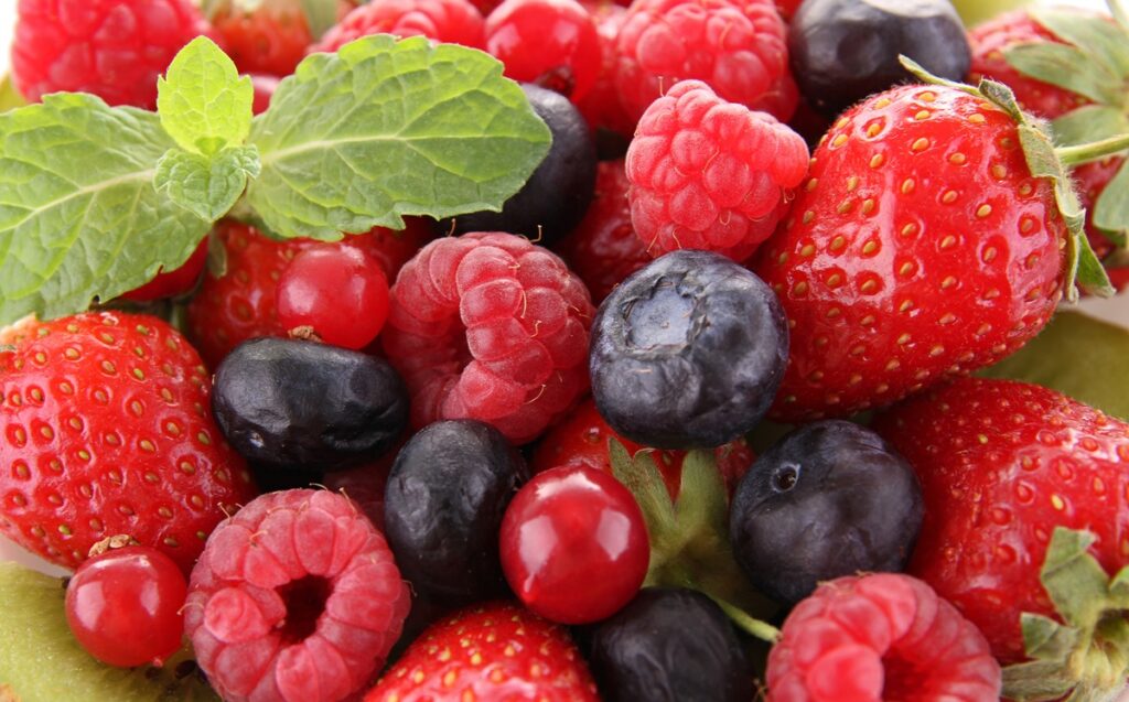 El sector mexicano de berries abre camino hacia Asia y Europa – PortalBerries.com